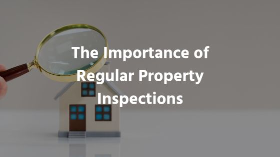Why Regular Property Inspections are so Vital