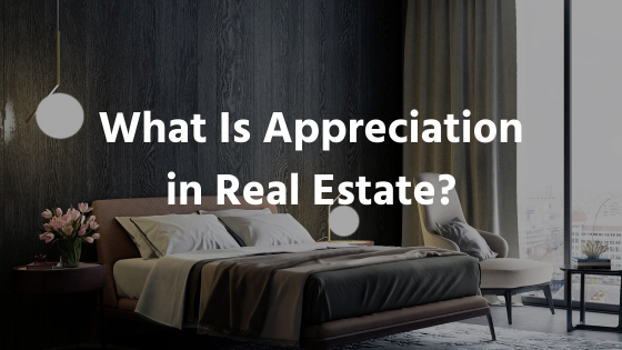 Understanding Appreciation in Real Estate